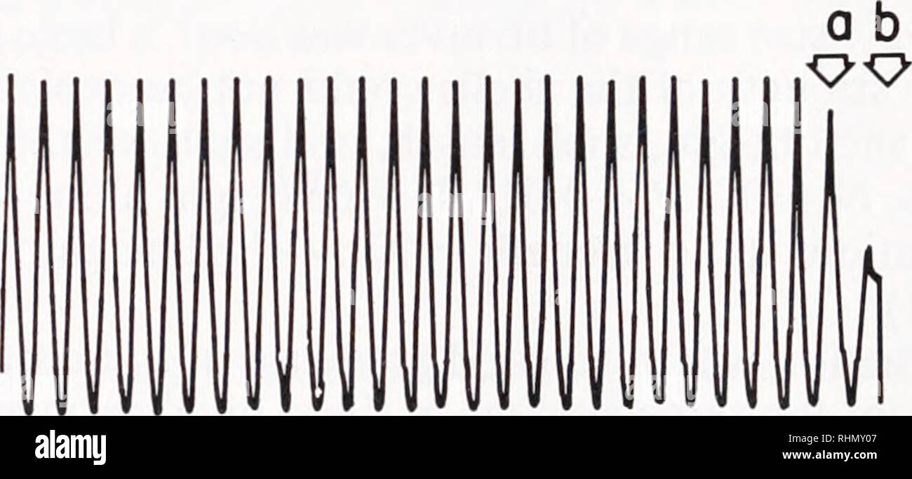 Tensometer hi-res stock photography and images - Alamy