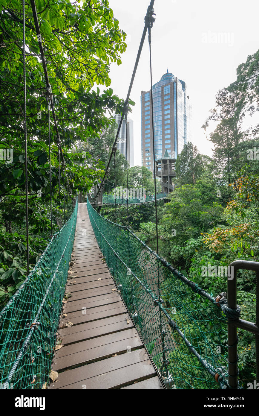 A view of canopy walk in the KL Forest Eco Park in Kuala Lumpur ...