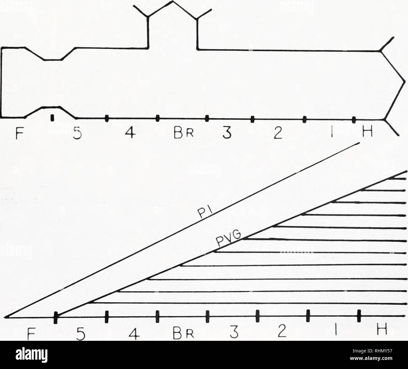 . The Biological bulletin. Biology; Zoology; Biology; Marine Biology ...