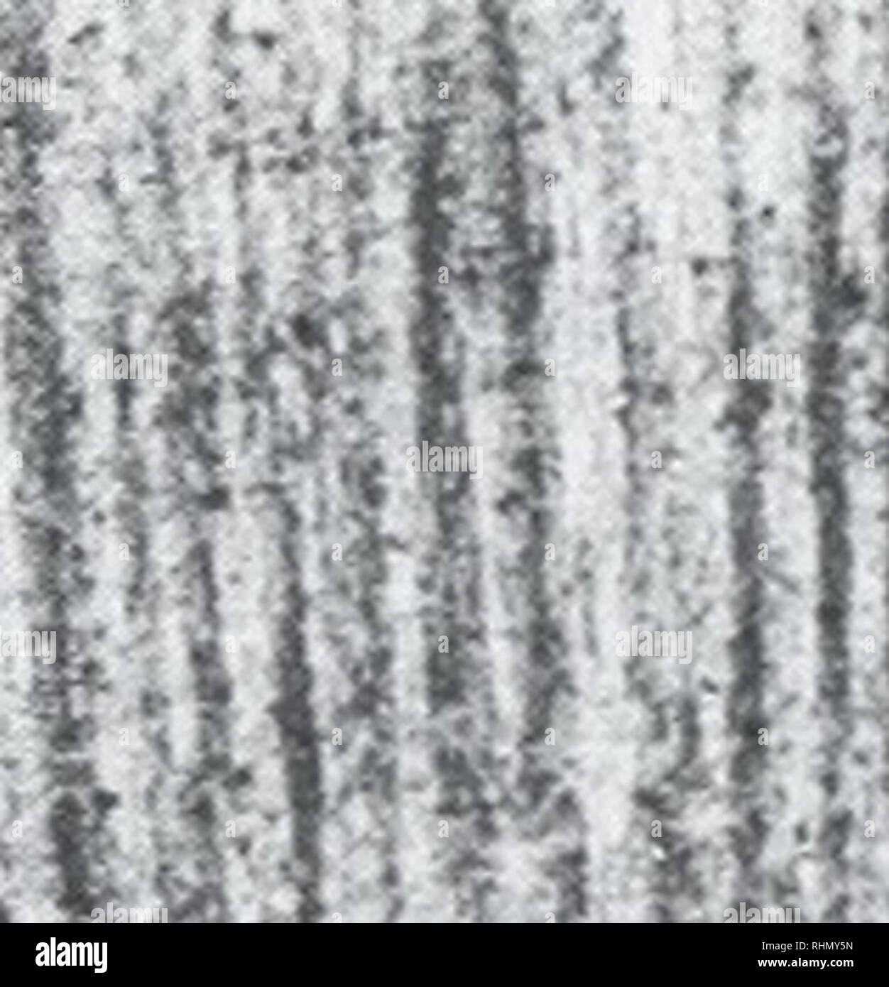 . The Biological bulletin. Biology; Zoology; Biology; Marine Biology. i ...