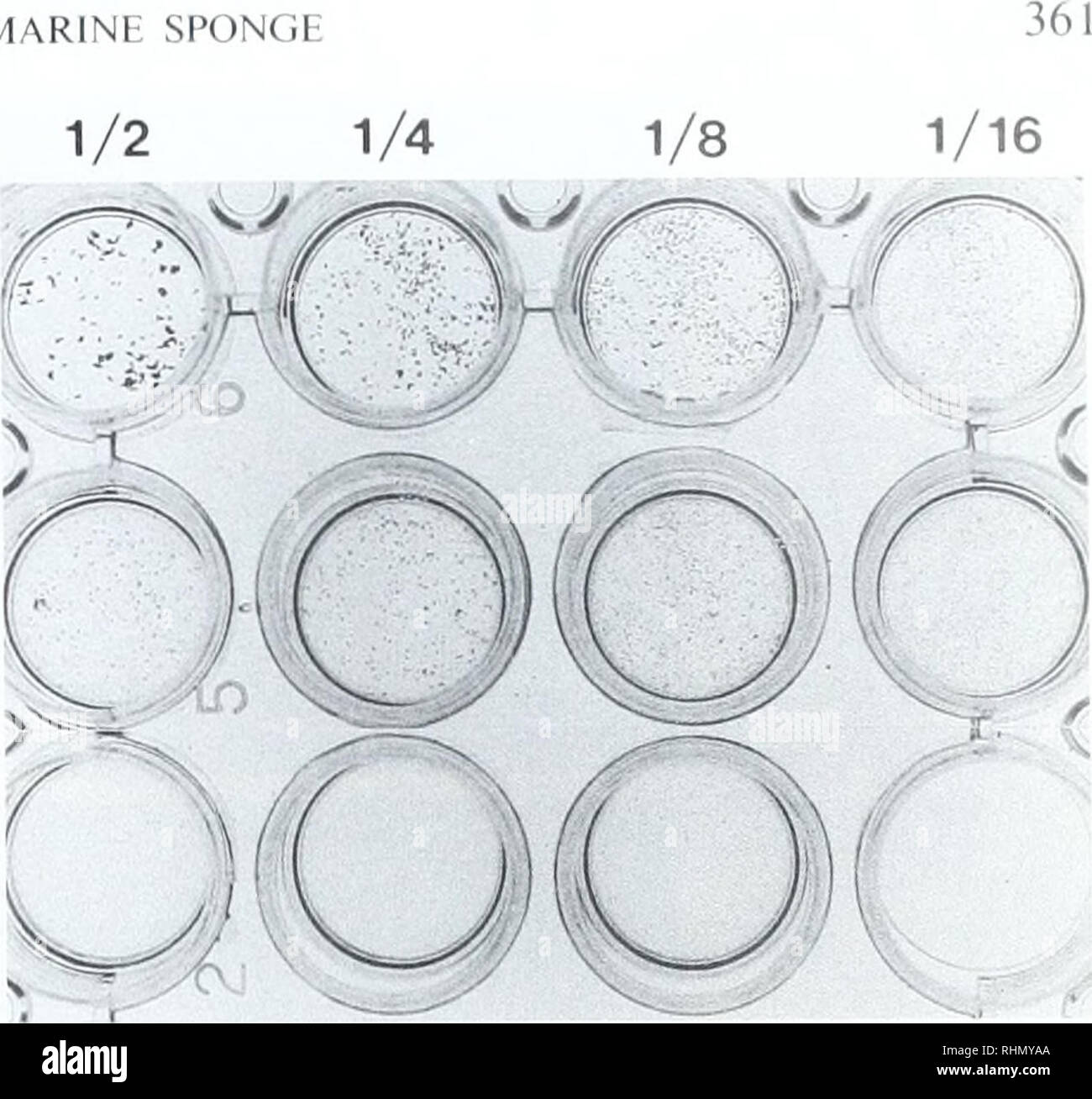 . The Biological bulletin. Biology; Zoology; Biology; Marine Biology ...