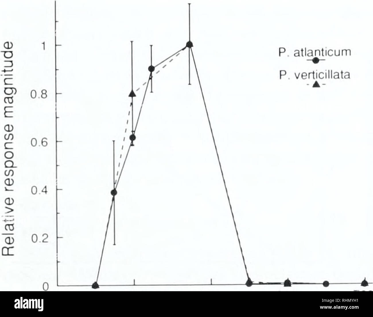 Spectral irradiance standard hi-res stock photography and images - Alamy