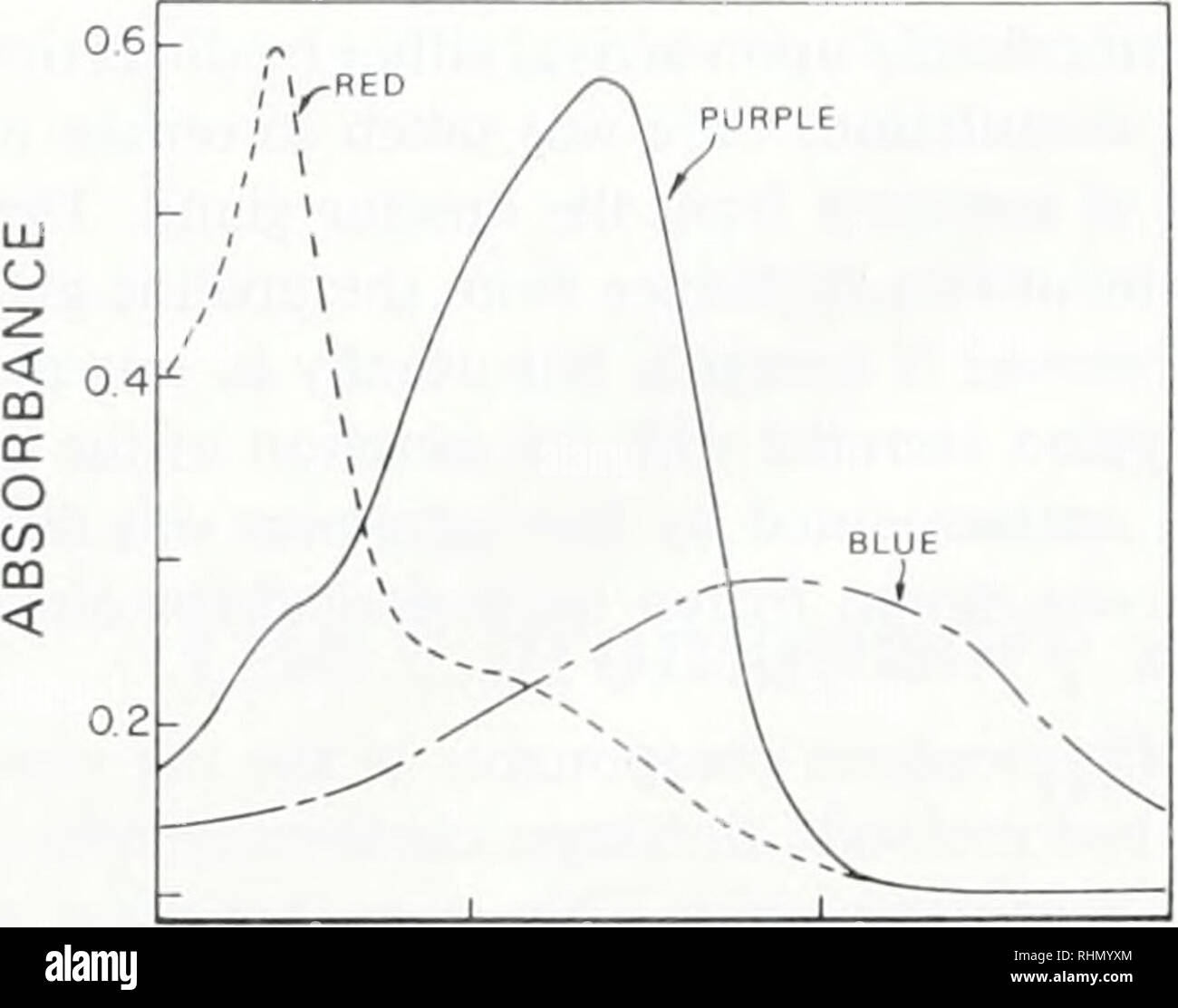Absorption spectra for sodium hi-res stock photography and images - Alamy