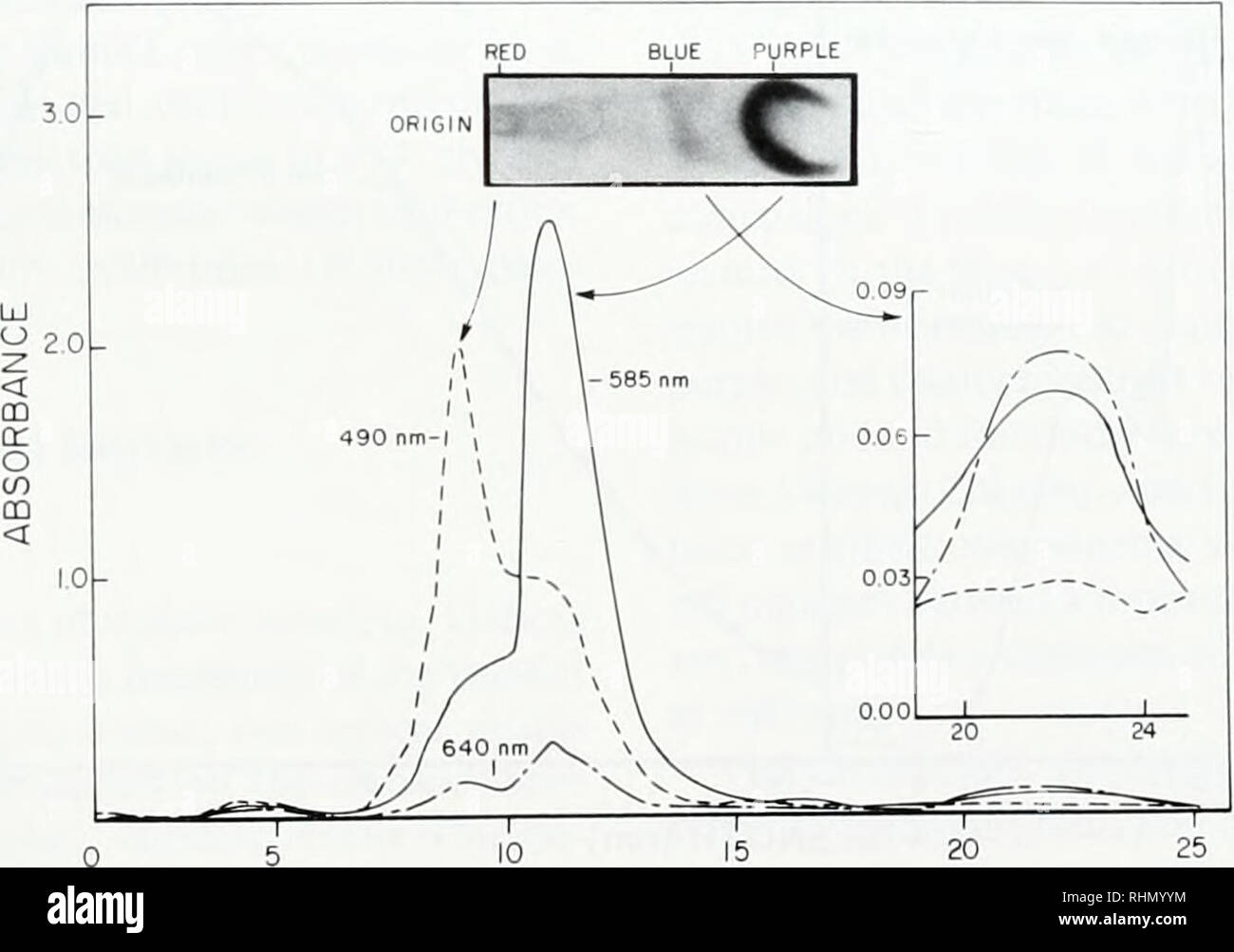 Two different inks hi-res stock photography and images - Alamy