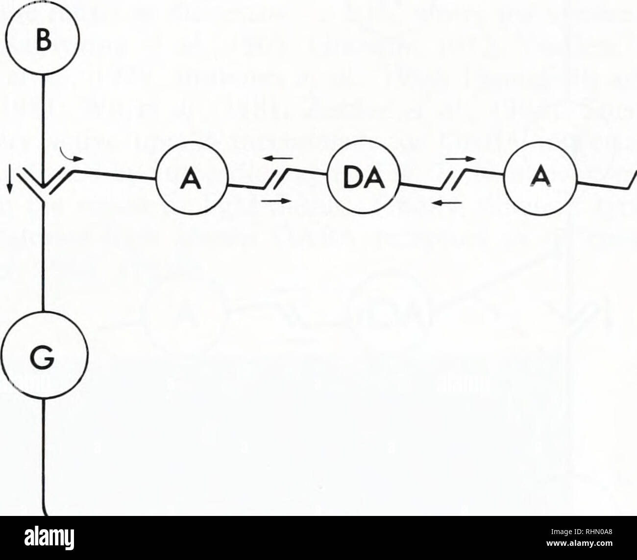 Retinal ganglion neurons hi-res stock photography and images - Alamy