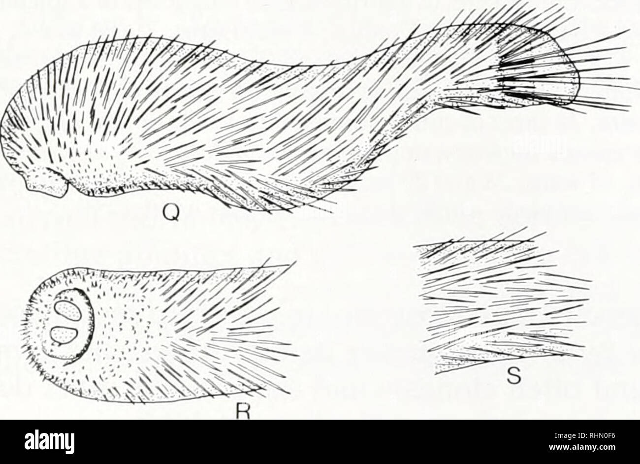 1907 1952 Cut Out Stock Images & Pictures - Alamy