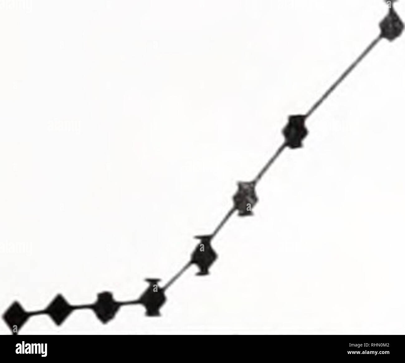 . The Biological bulletin. Biology; Zoology; Biology; Marine Biology ...