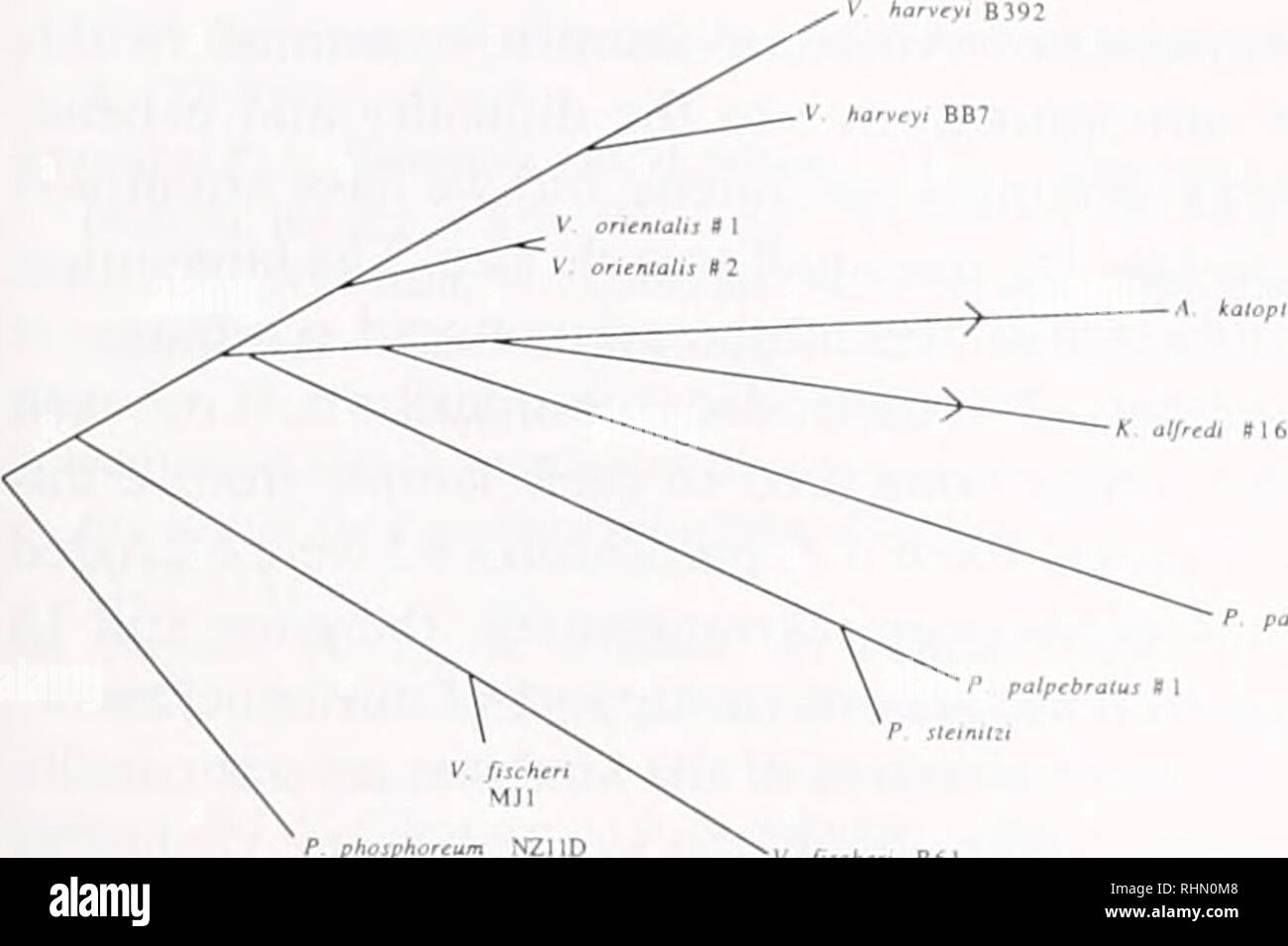 . The Biological bulletin. Biology; Zoology; Biology; Marine Biology ...