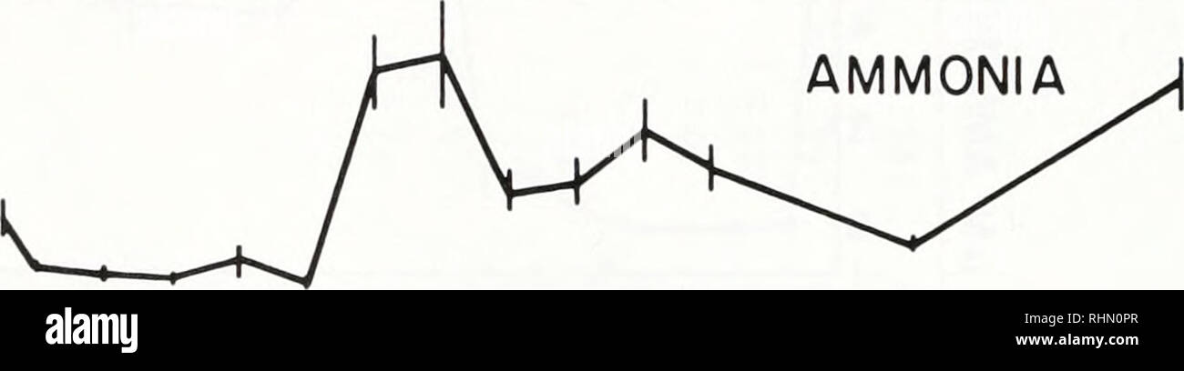 1980 primary Cut Out Stock Images & Pictures - Alamy