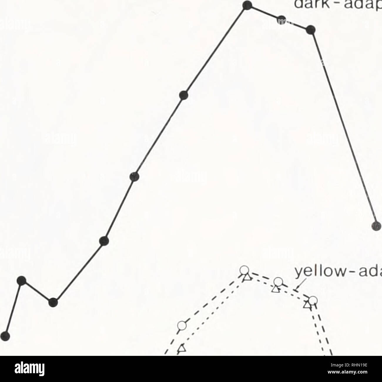 . The Biological bulletin. Biology; Zoology; Biology; Marine Biology ...