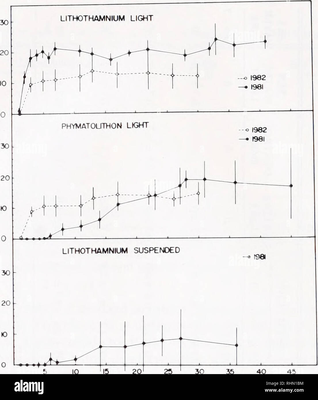 Lithothamnium hi-res stock photography and images - Alamy