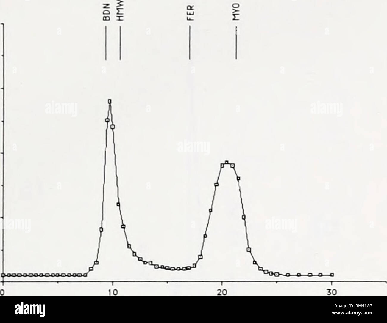 Metacercaria hi-res stock photography and images - Alamy