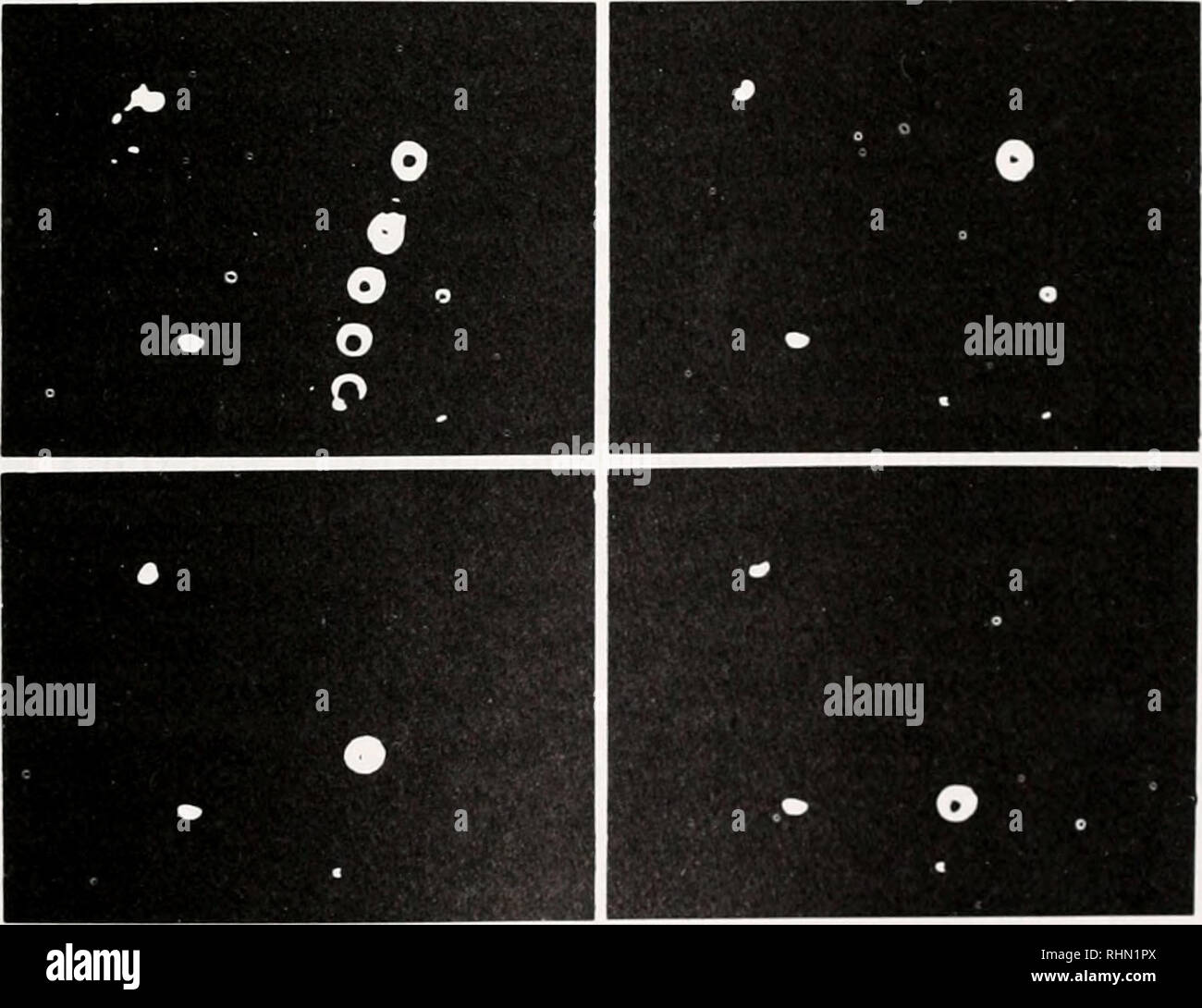 Firefly behavior hi-res stock photography and images - Alamy