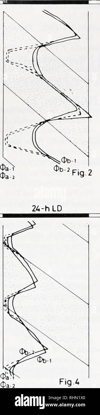 Time oscillator hi-res stock photography and images - Alamy