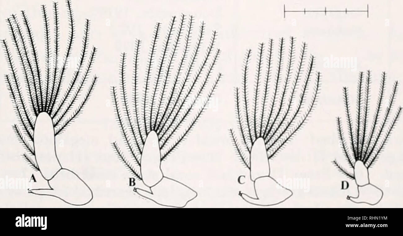 . The Biological bulletin. Biology; Zoology; Biology; Marine Biology ...