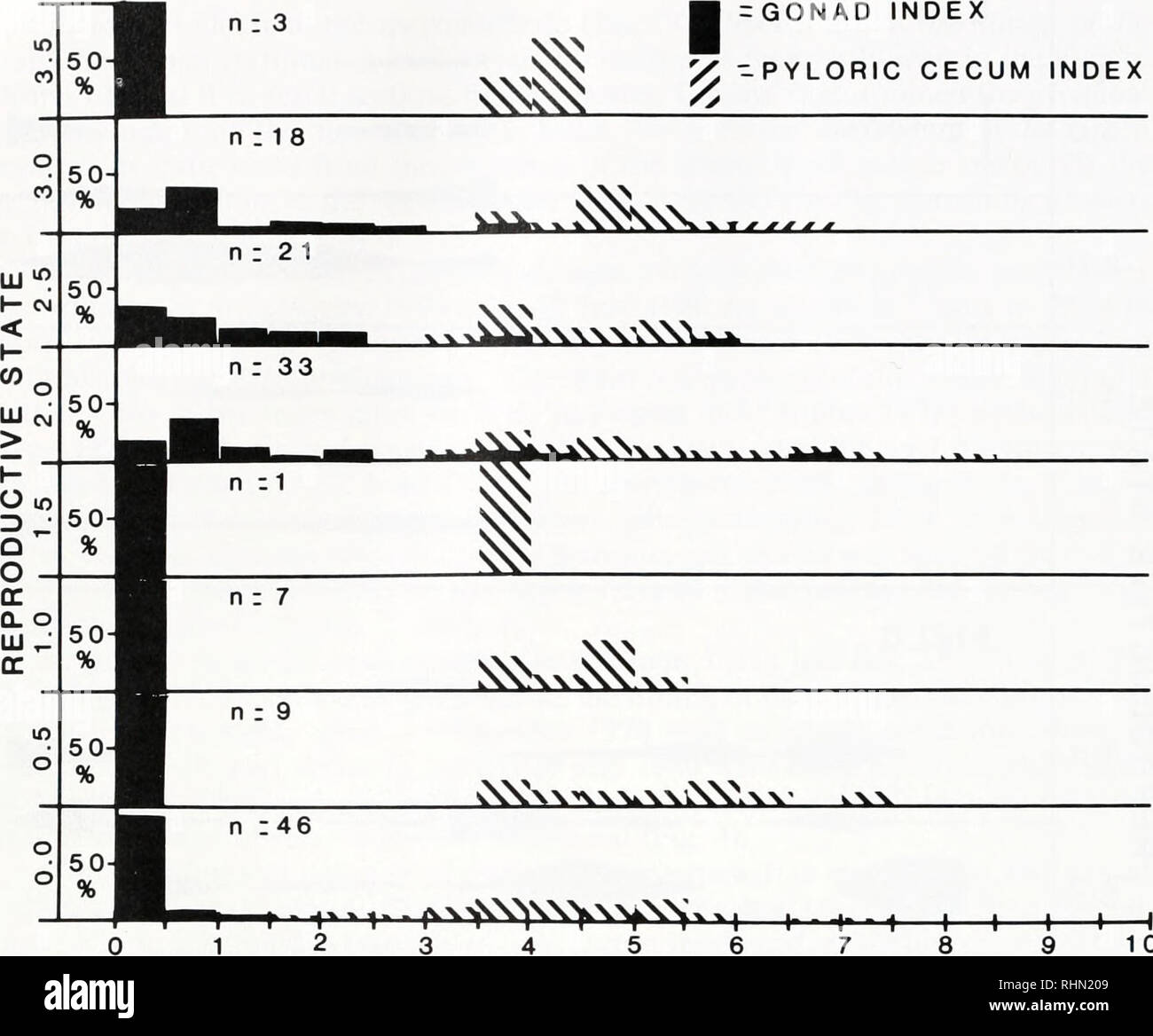 Pyloric cecum hi-res stock photography and images - Alamy