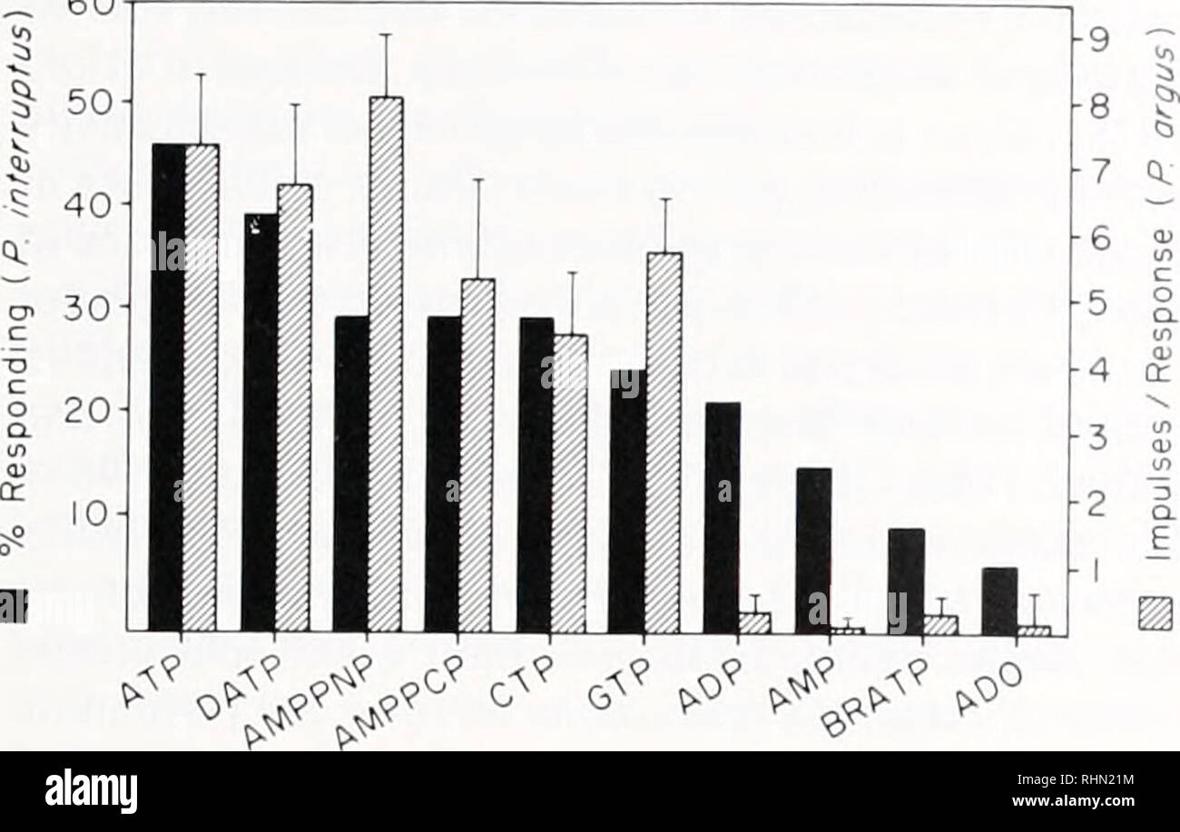 . The Biological bulletin. Biology; Zoology; Biology; Marine Biology ...