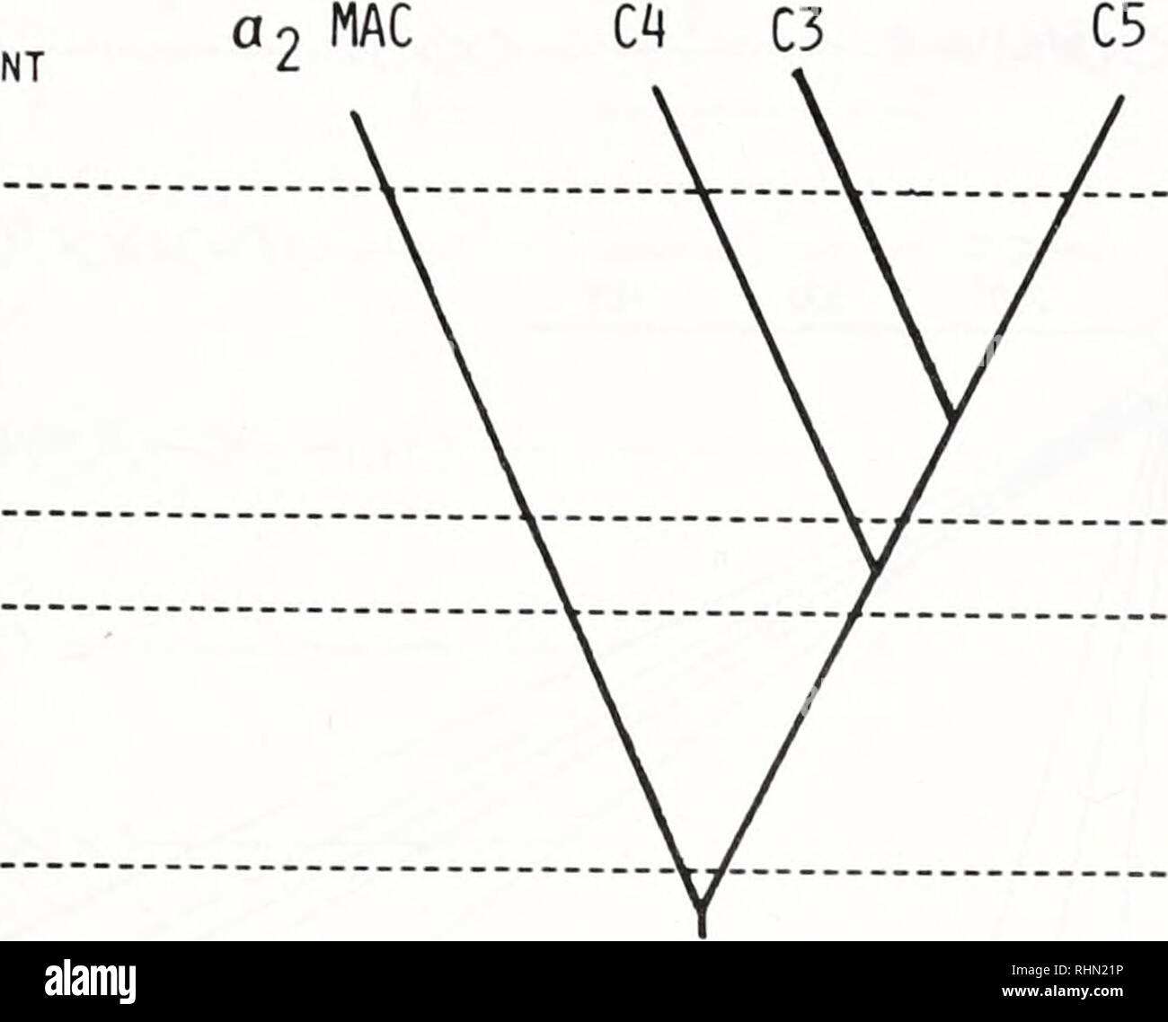 Complement proteins hi-res stock photography and images - Alamy