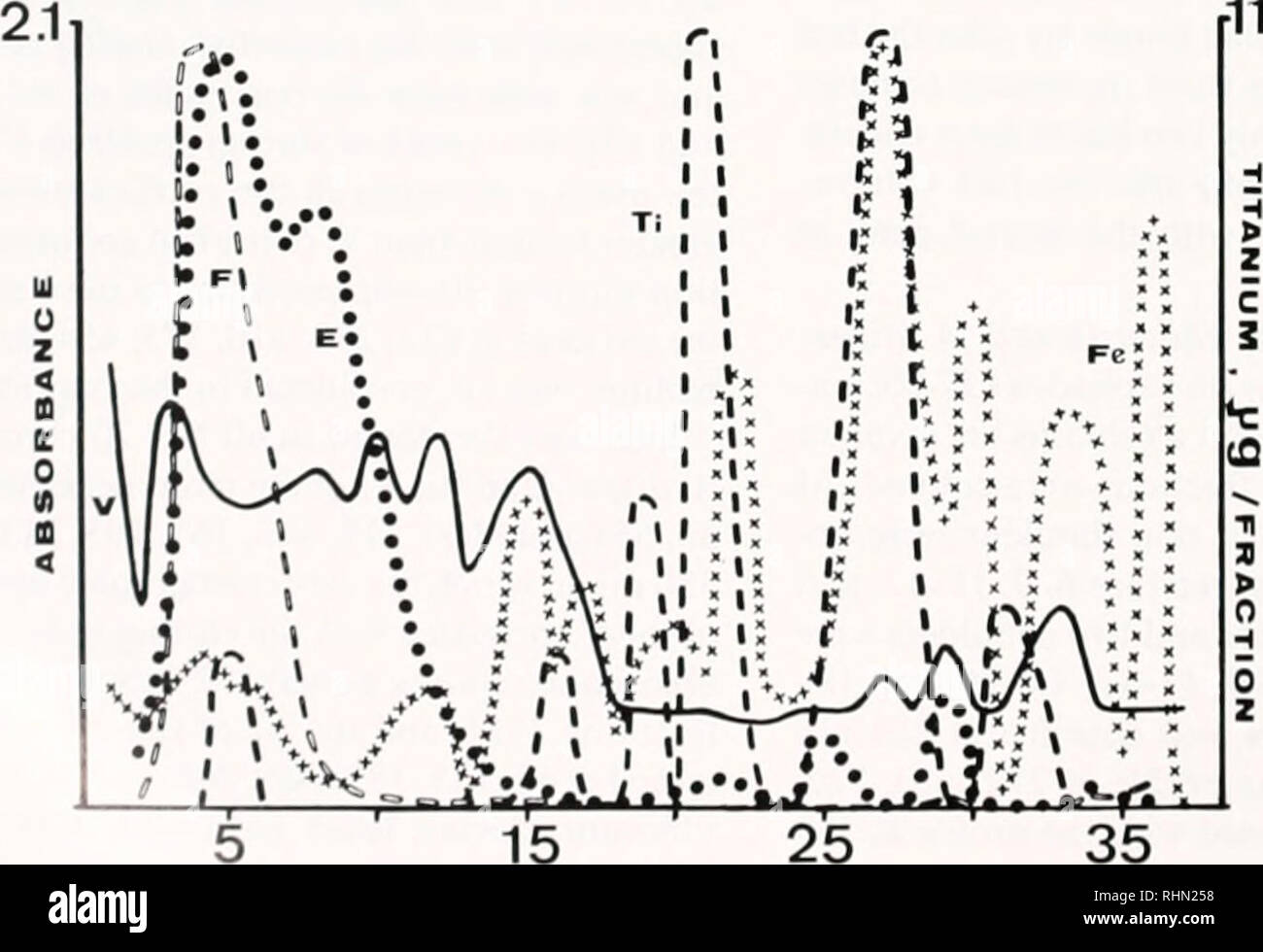 Fractions band hi-res stock photography and images - Alamy