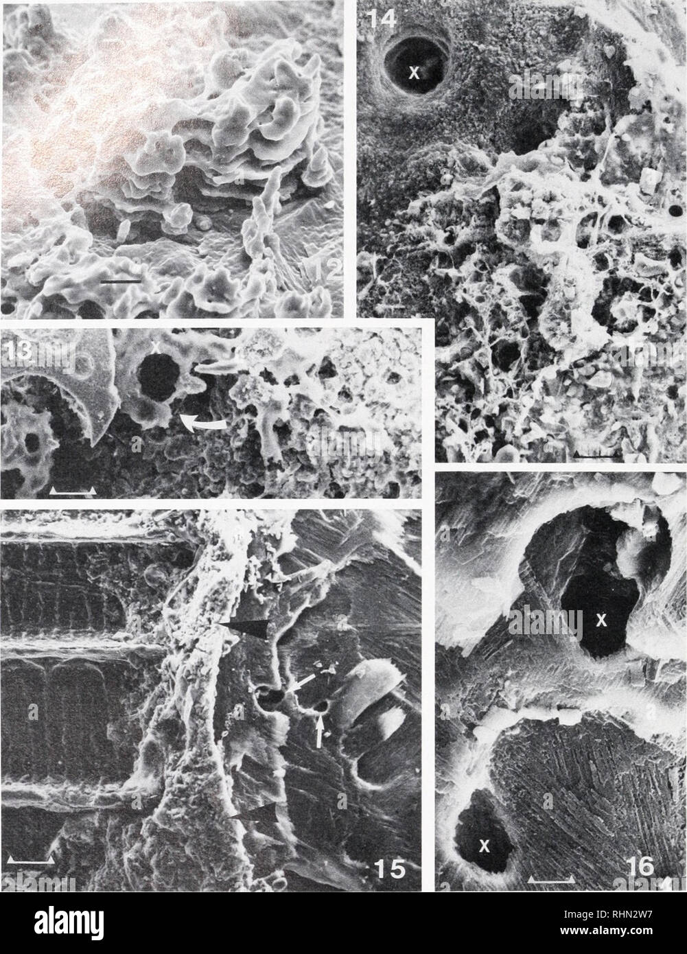 Undercut edge hi-res stock photography and images - Alamy