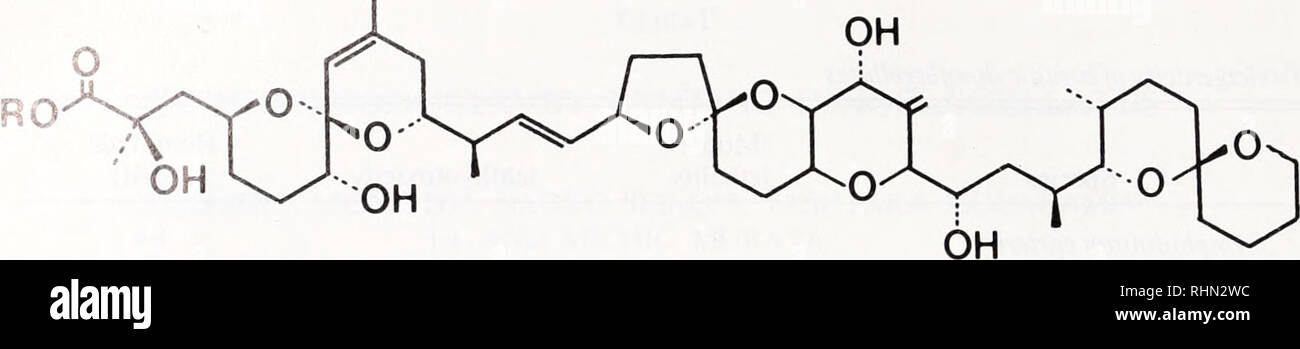 Okadaic acid hi-res stock photography and images - Alamy