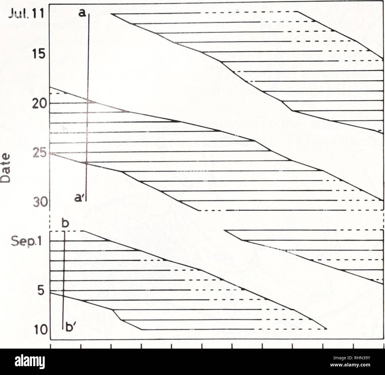 . The Biological bulletin. Biology; Zoology; Biology; Marine Biology ...