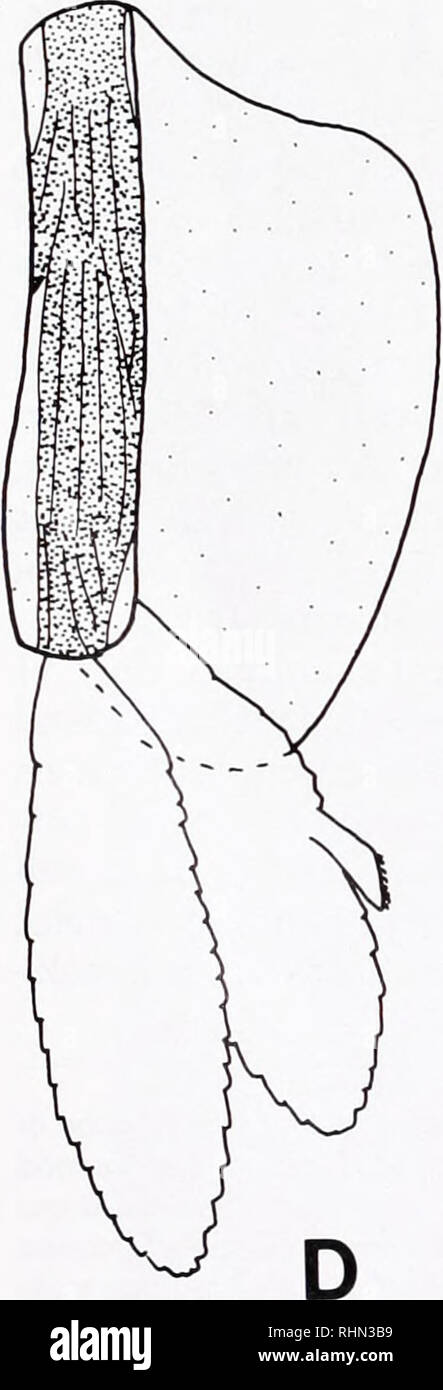 . The Biological bulletin. Biology; Zoology; Biology; Marine Biology ...