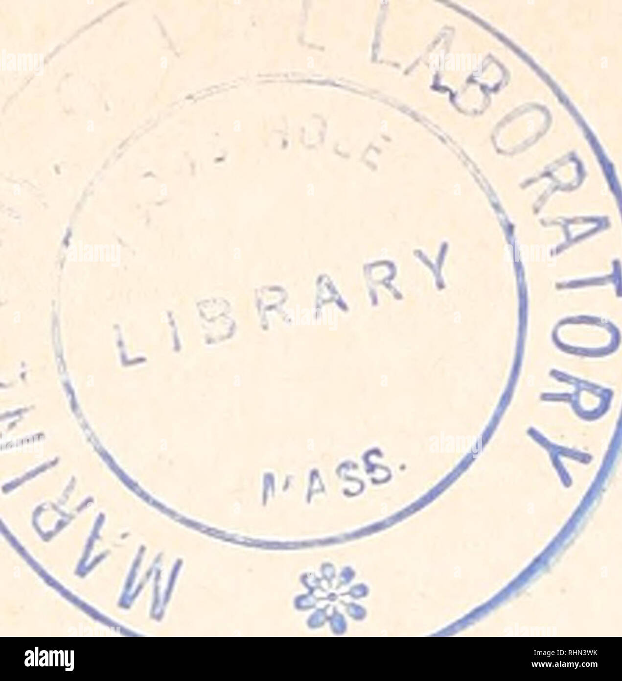 Actin filaments hi-res stock photography and images - Alamy