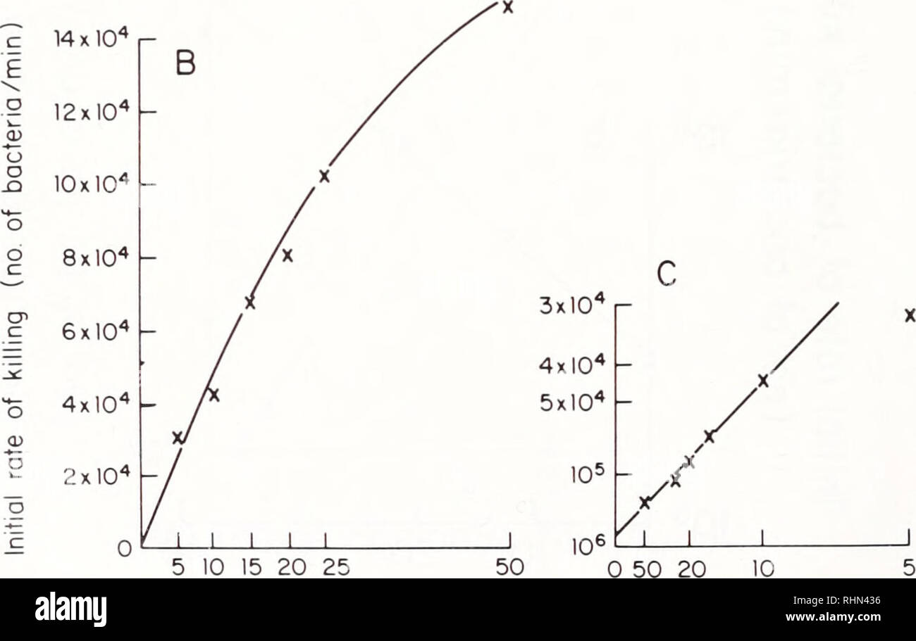. The Biological bulletin. Biology; Zoology; Biology; Marine Biology ...