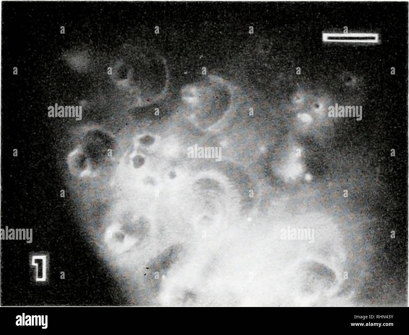 Bomb calorimeter hi-res stock photography and images - Alamy