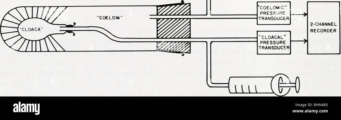 Hydrostatically test hi-res stock photography and images - Alamy