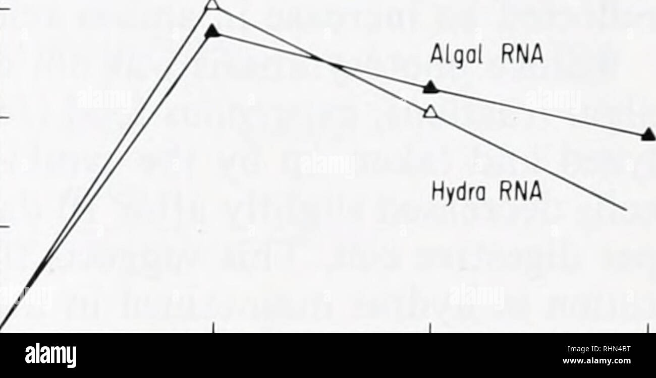 Algol 60 hi-res stock photography and images - Alamy