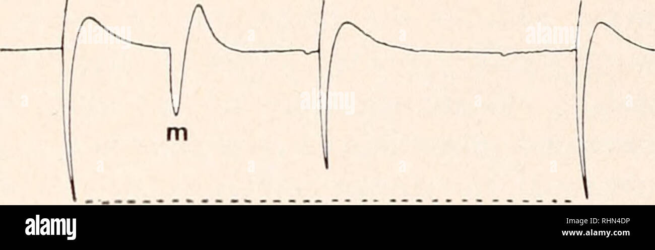 . The Biological bulletin. Biology; Zoology; Biology; Marine Biology ...