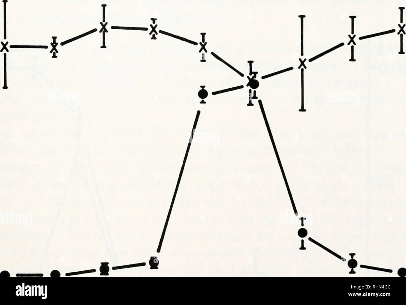 Morphogenic hi-res stock photography and images - Alamy
