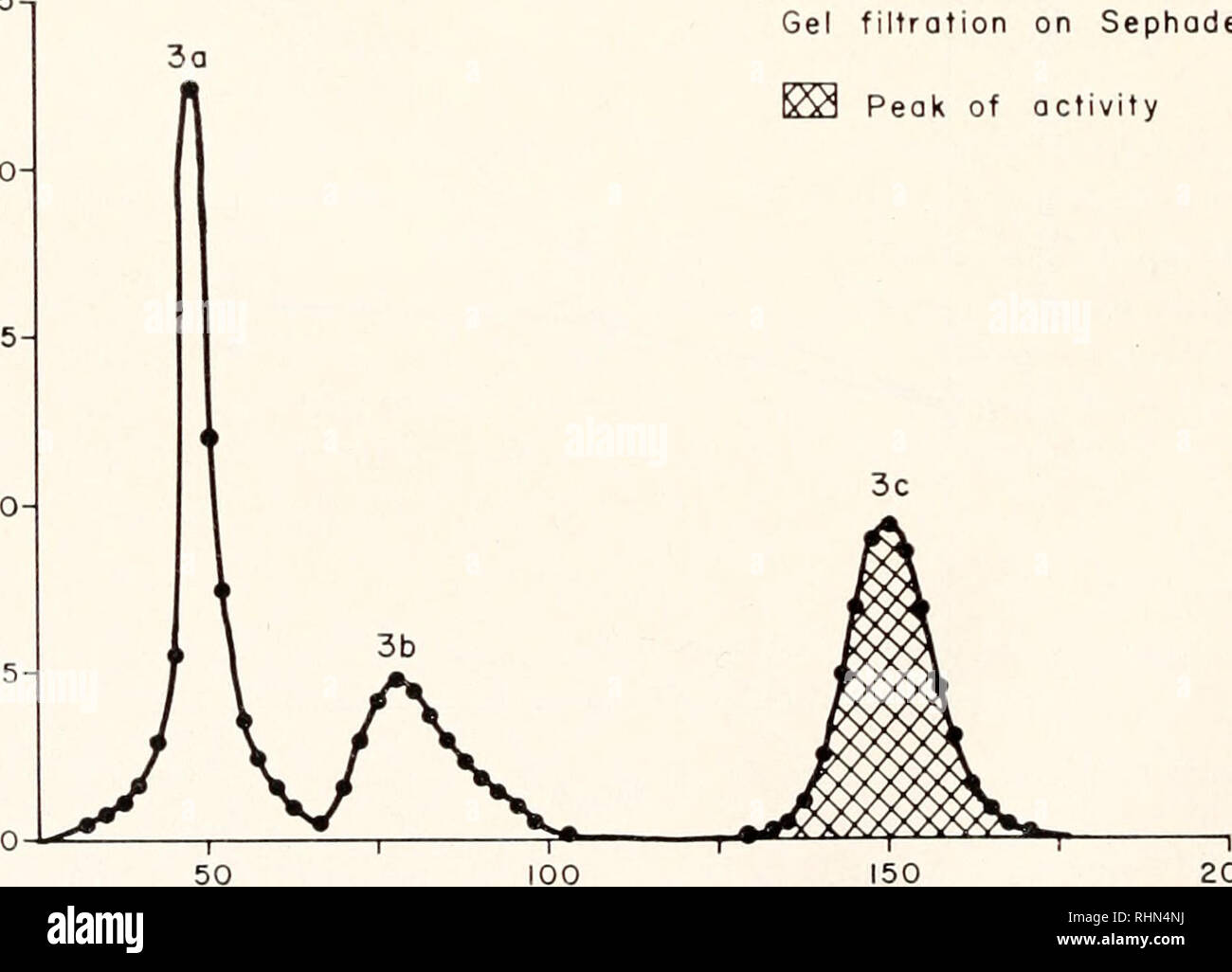 Rhabditis hi-res stock photography and images - Alamy