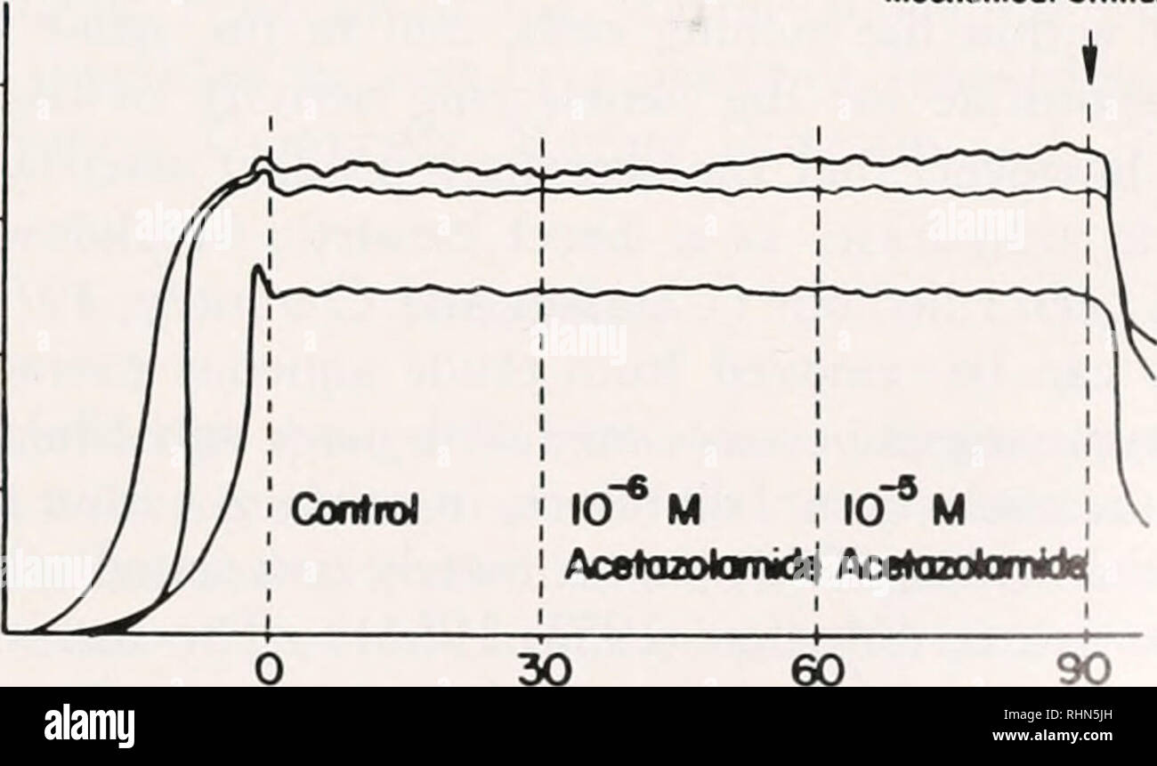 Oxygen debt hi-res stock photography and images - Alamy
