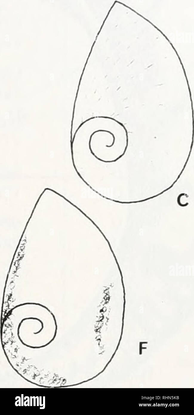 . The Biological bulletin. Biology; Zoology; Biology; Marine Biology. D ...