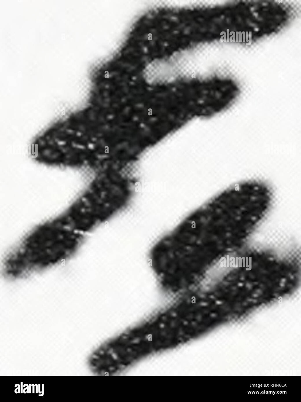Metaphase Chromosomes High Resolution Stock Photography and Images - Alamy