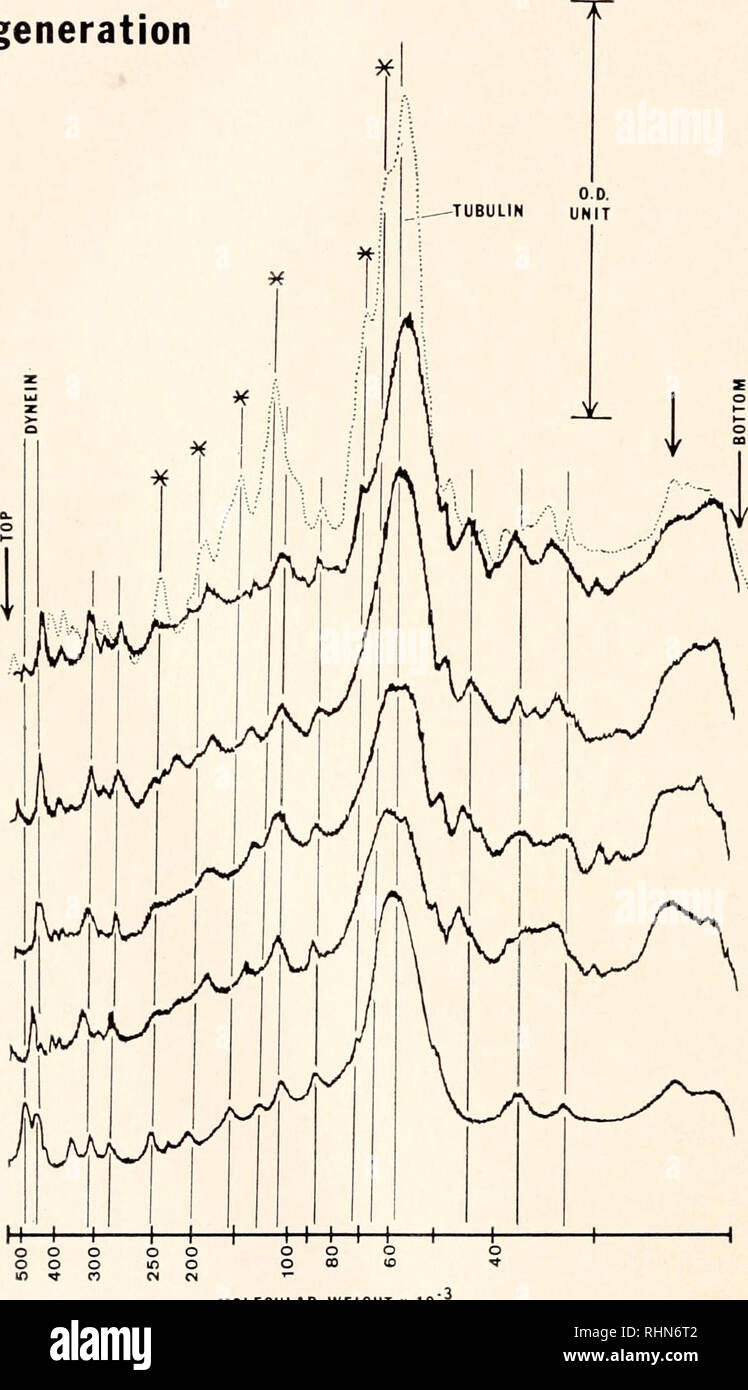 Microdensitometer hi-res stock photography and images - Alamy