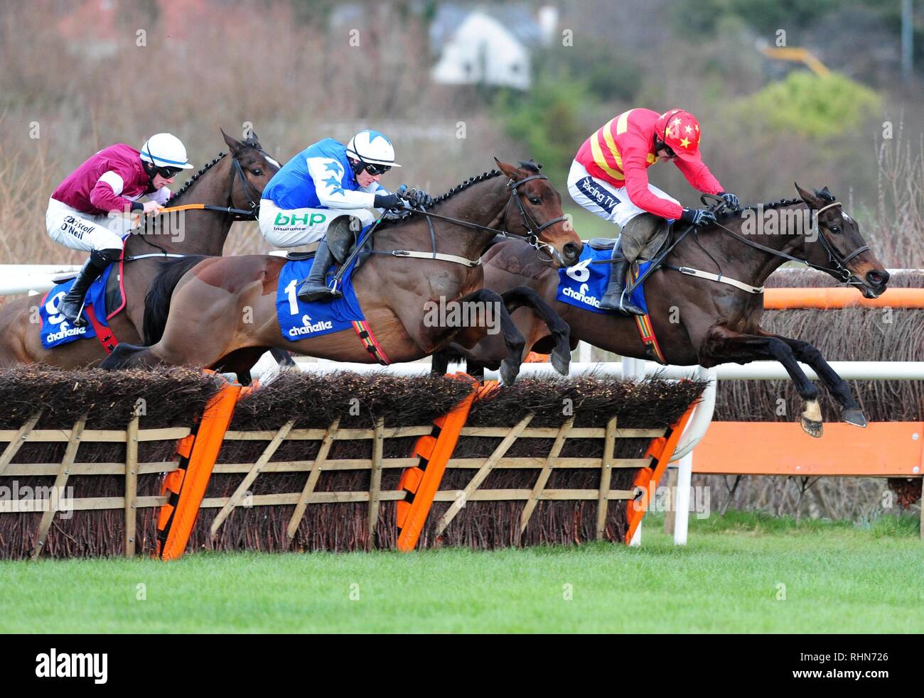 Klassical Dream ridden by Ruby Walsh goes on to win the Chanelle Pharma ...
