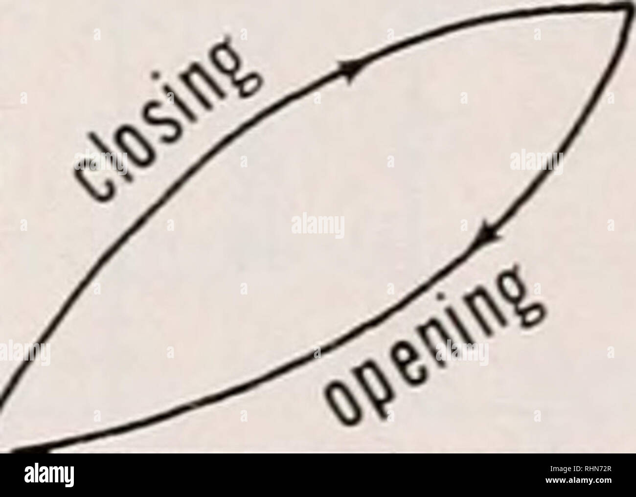 Resilin hi-res stock photography and images - Alamy