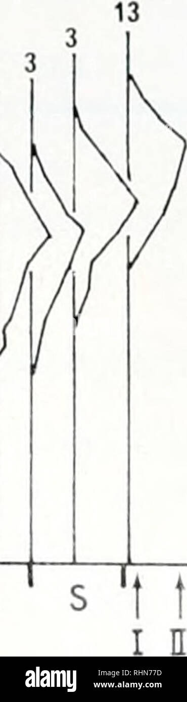 . The Biological bulletin. Biology; Zoology; Biology; Marine Biology ...