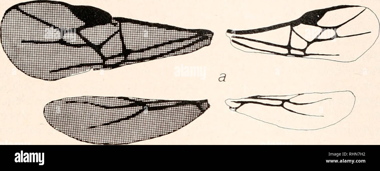 . The Biological bulletin. Biology; Zoology; Biology; Marine Biology ...