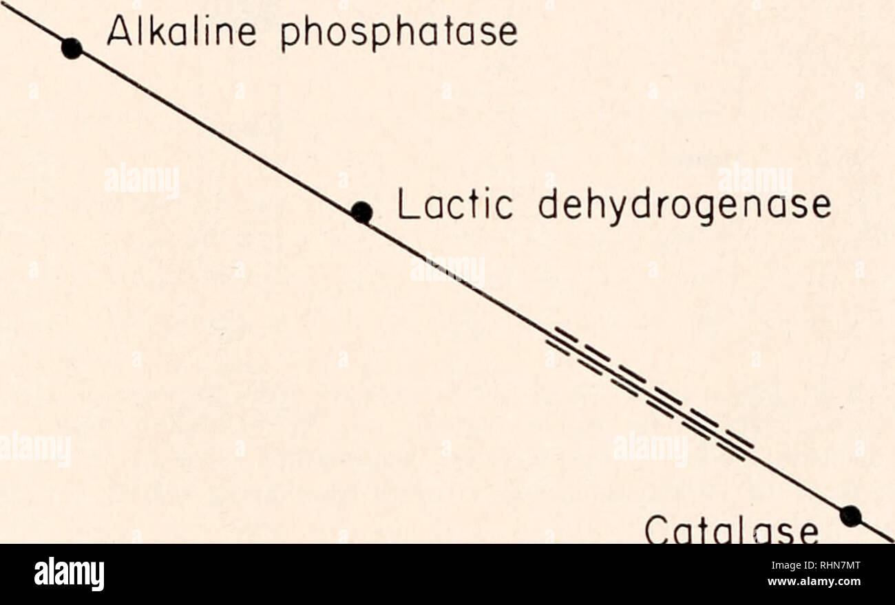 Cathodal hi-res stock photography and images - Alamy