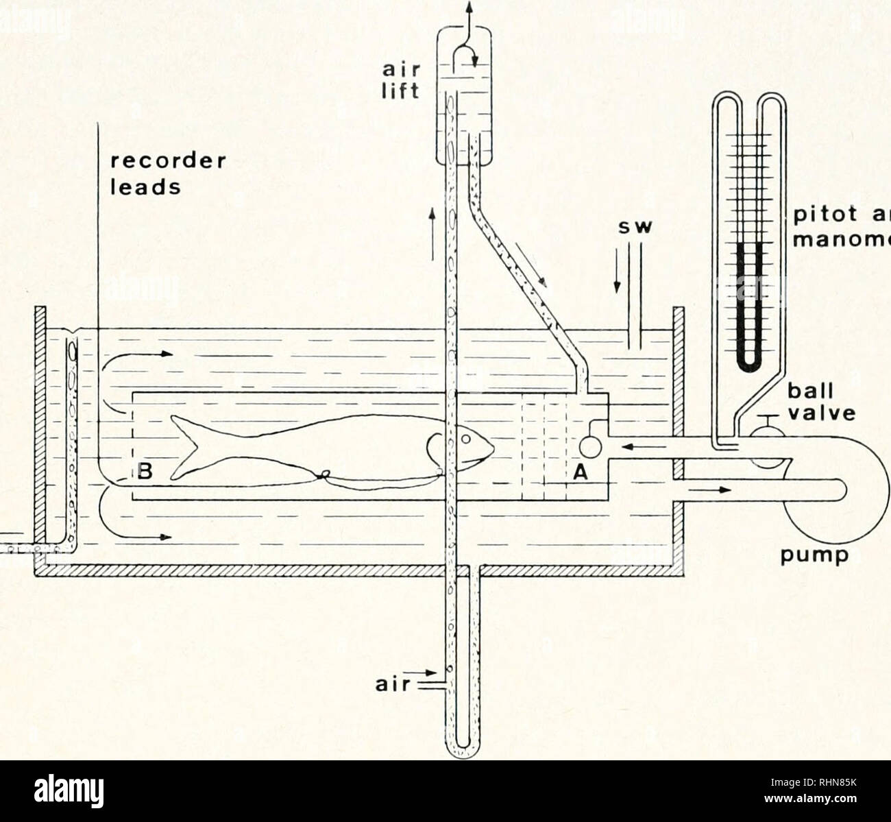 Faraday Cage Diagram