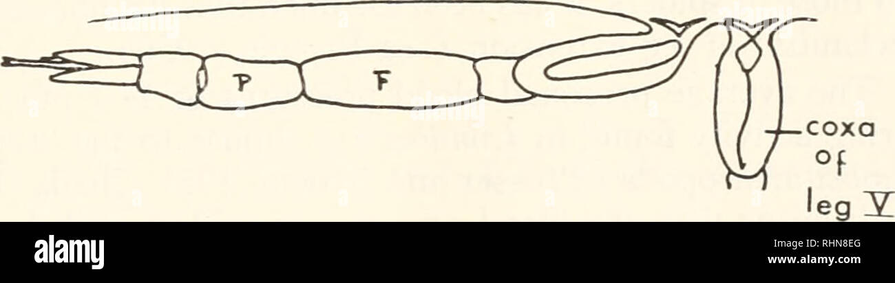 . The Biological bulletin. Biology; Zoology; Biology; Marine Biology. b ...