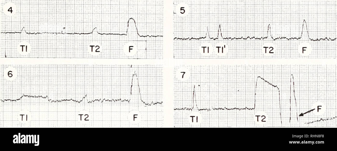 . The Biological bulletin. Biology; Zoology; Biology; Marine Biology ...