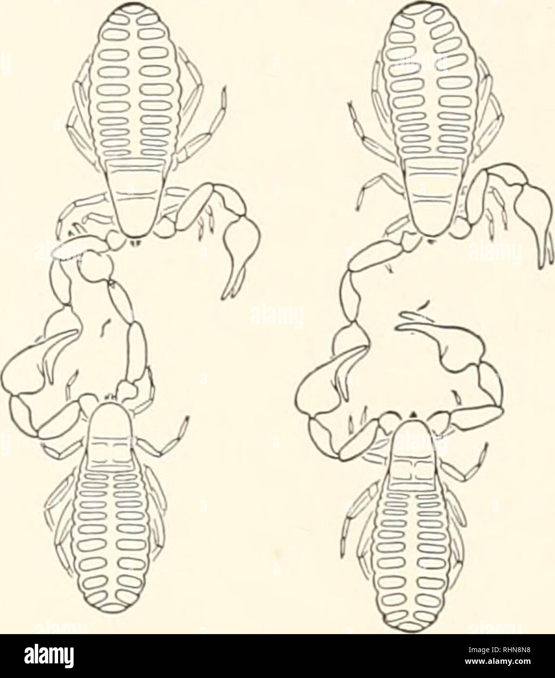 . The Biological bulletin. Biology; Zoology; Biology; Marine Biology ...