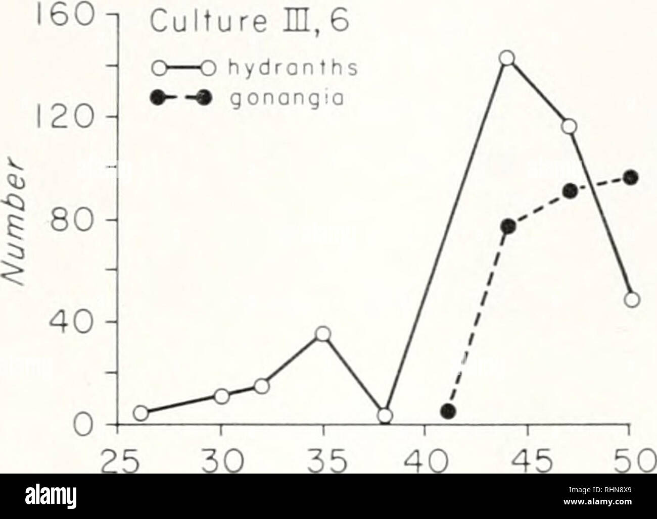 Endogenous culture hi-res stock photography and images - Alamy