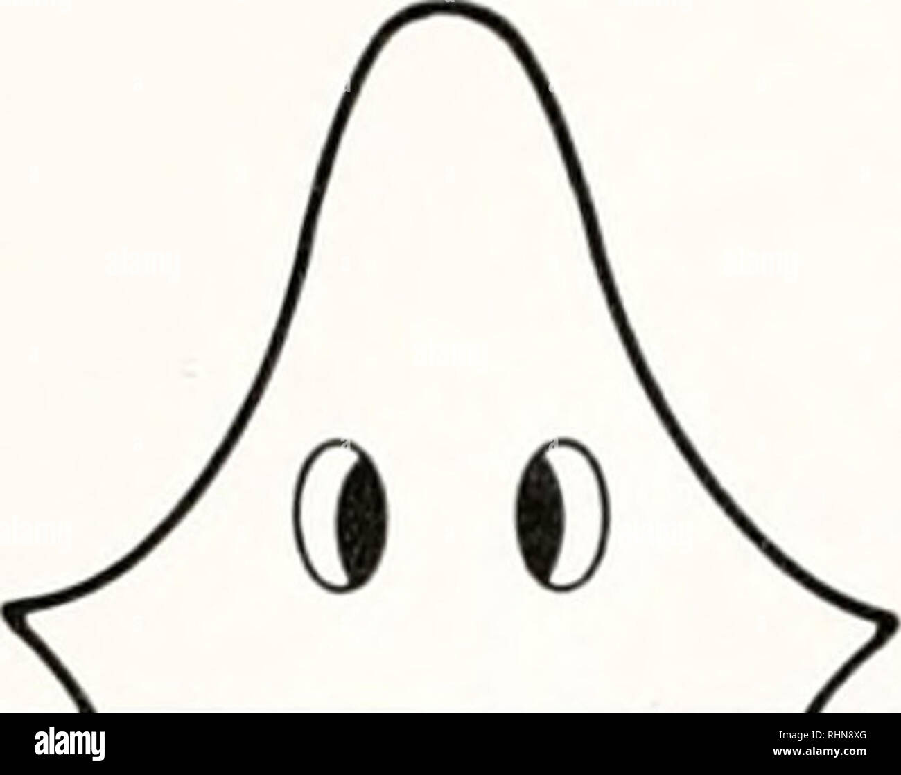 . The Biological bulletin. Biology; Zoology; Biology; Marine Biology ...